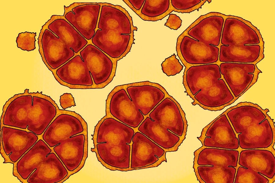 Science News: Ancient Bacteria Might Persist Beneath Mars’ Surface - Worldlyhistory